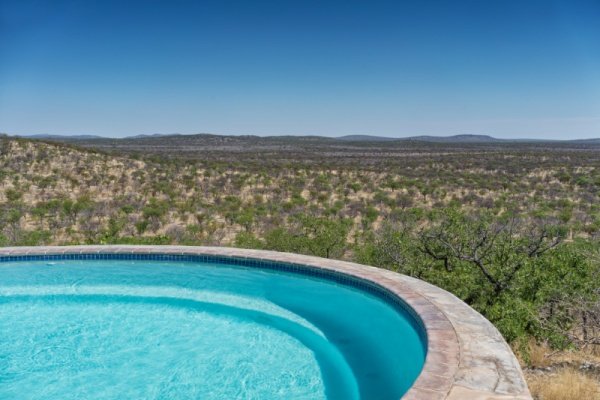 Lawn, Pest, Pool & Handyman Services in Steiner Ranch, TX