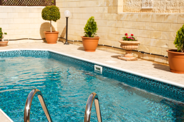 Pest Control Advice & Tips for Austin, TX Residents | YardDoc Blog